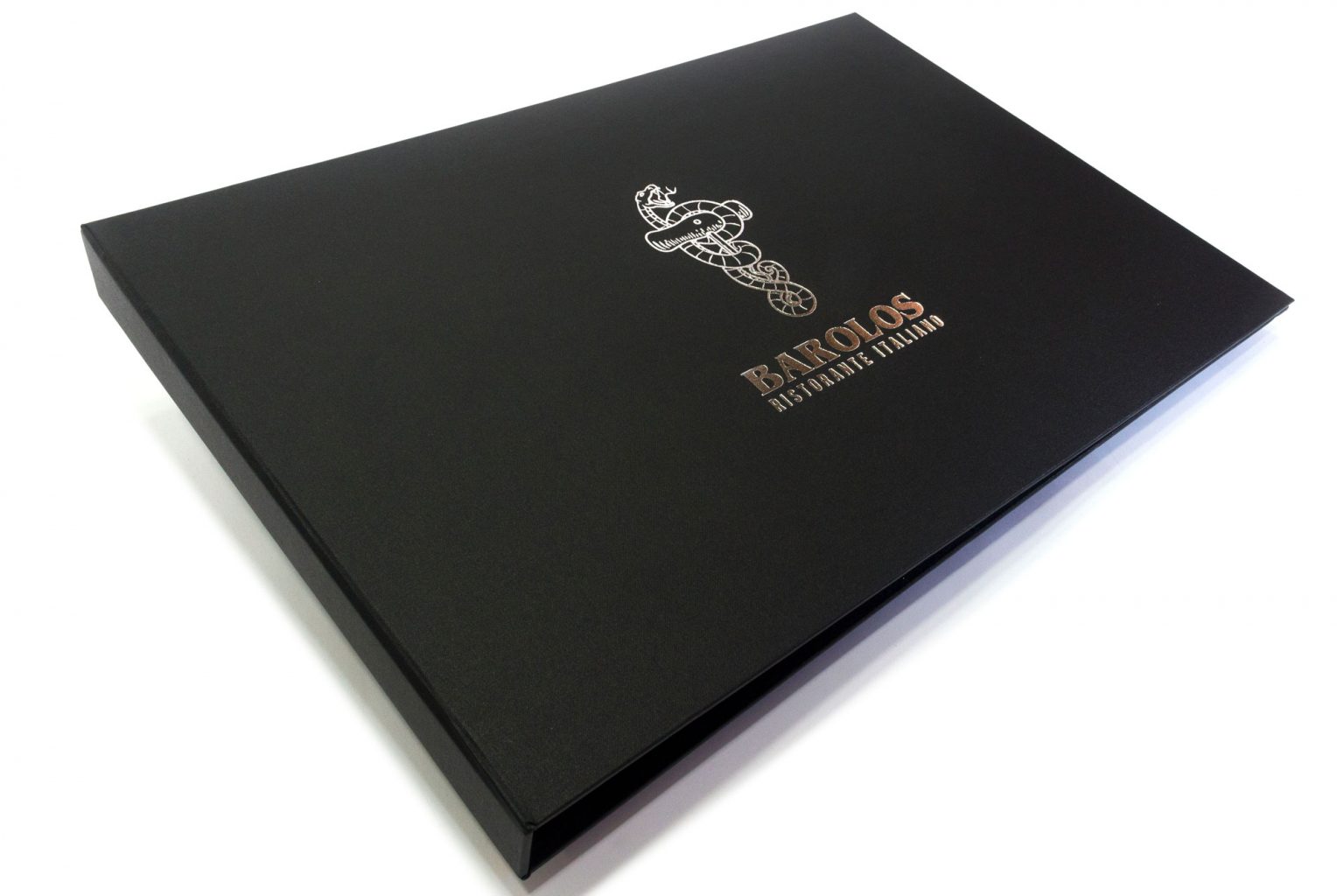 Cloth Ring Binders | Cloth Presentation Binders | Design and Buy Online